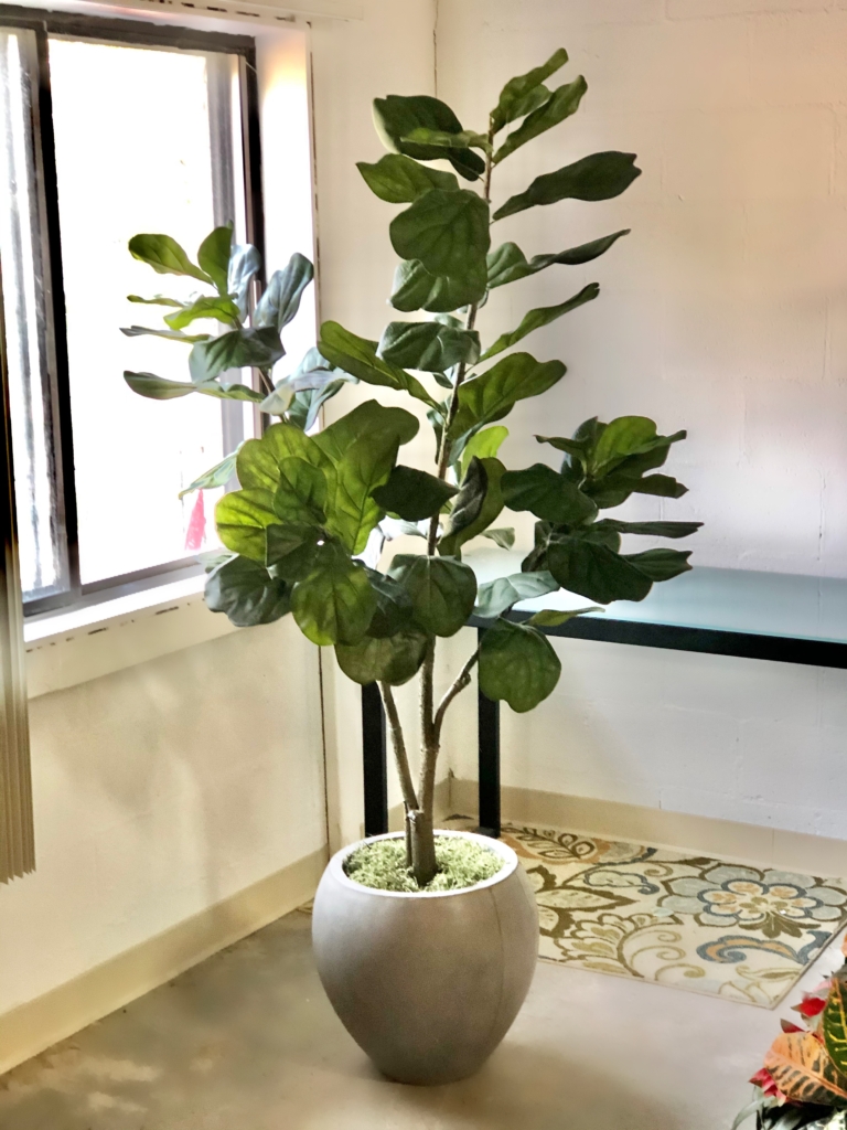 Trees & Plants - Silk Thumb